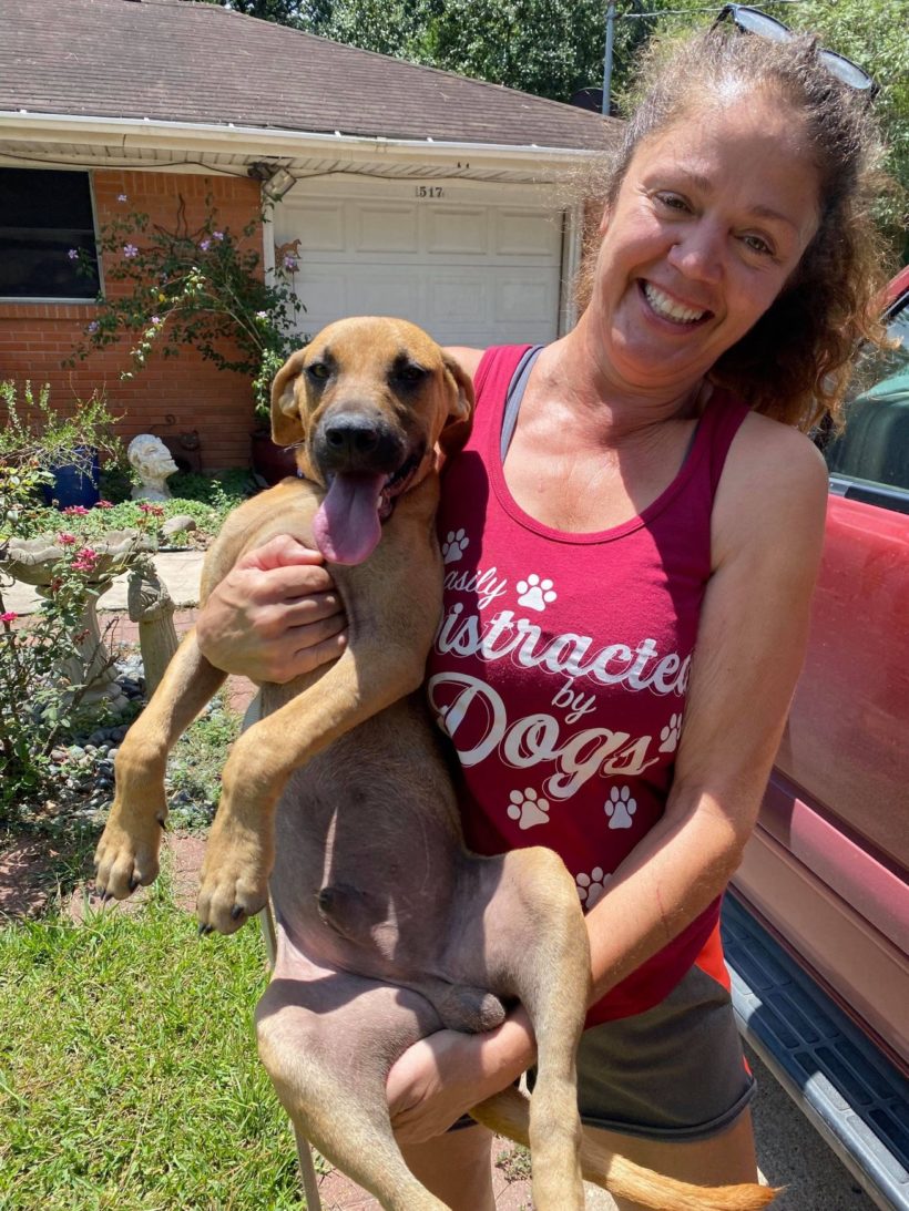 Safe With Us Animal Rescue – A non profit animal rescue organization